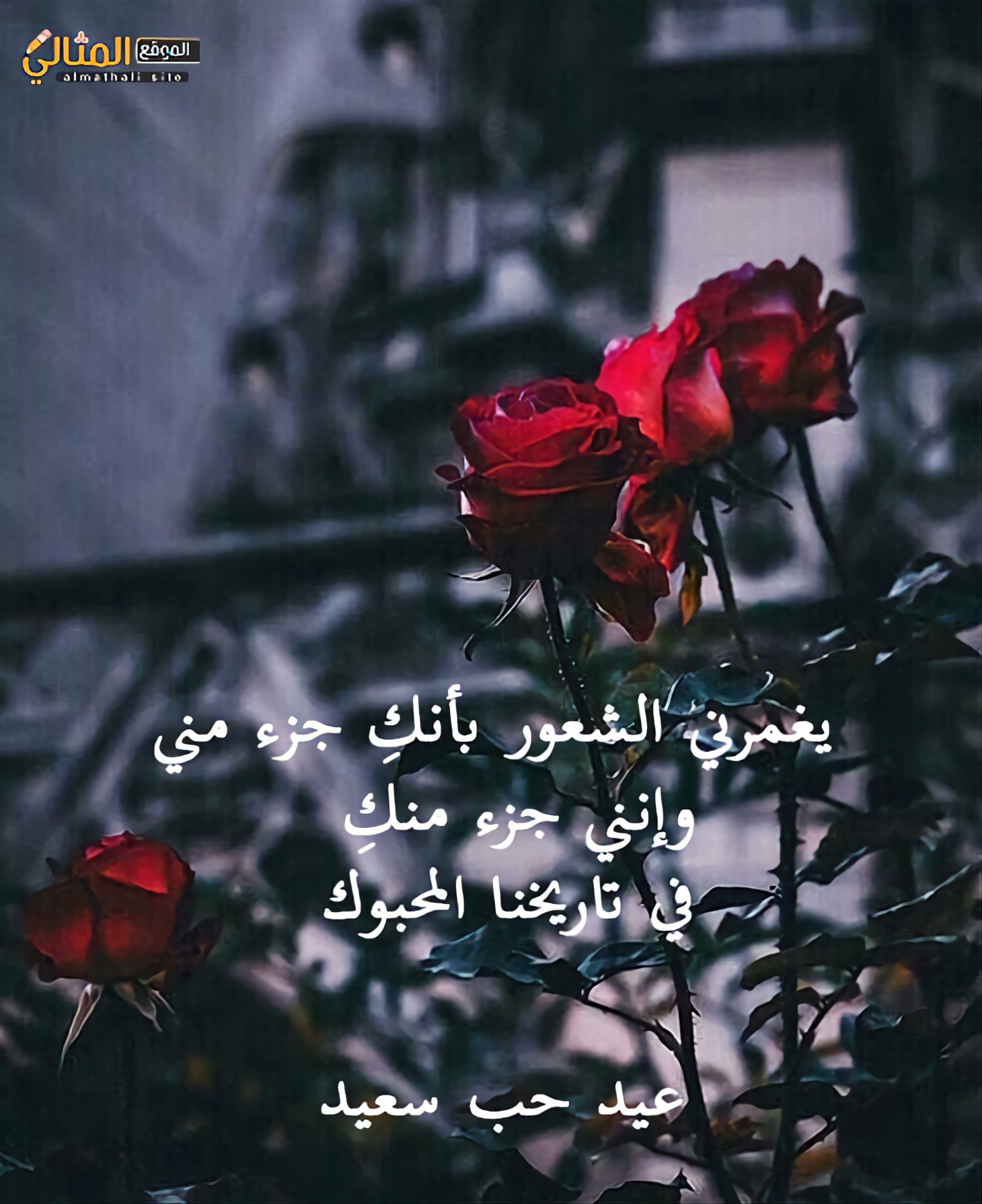 اجمل الصور عيد الحب للزوج 2022 بطاقات معايدة للفلانتين لزوجي الموقع
